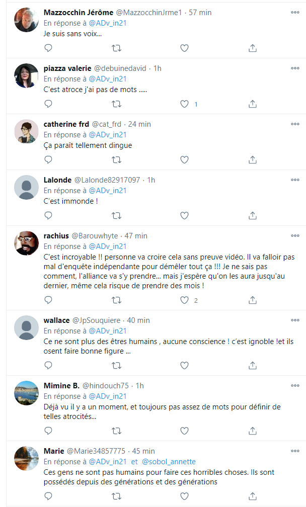 image-565 | Pro Fide Catholica