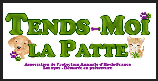 image-66 | Pro Fide Catholica