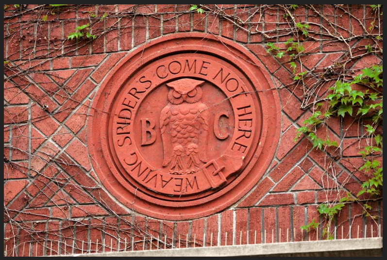 image-39 | Pro Fide Catholica